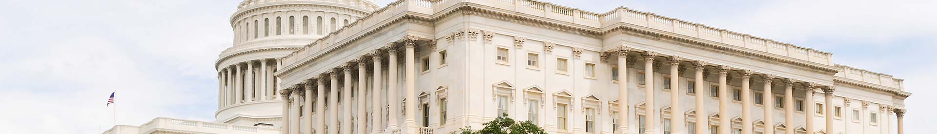 The U S Standard General Ledger